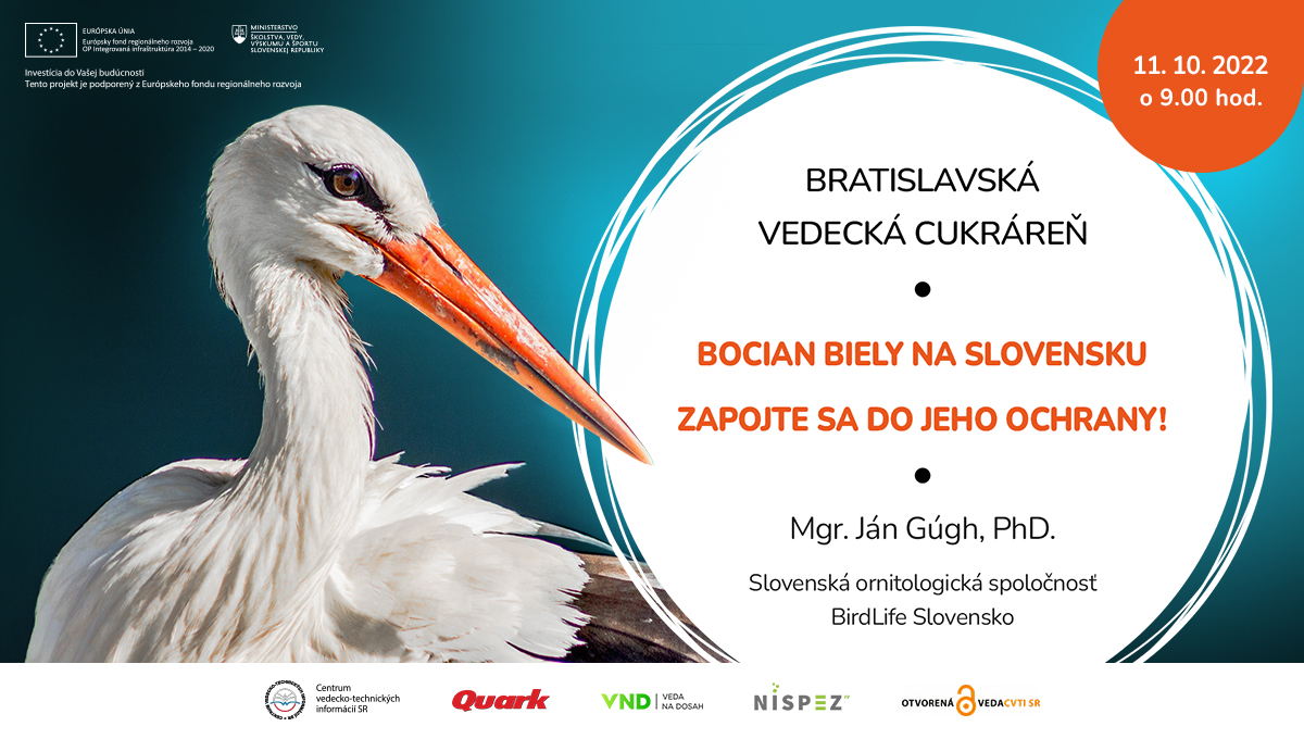 VIDEO: Bocian biely na Slovensku. Zapojte sa do jeho ochrany! - VEDA NA DOSAH